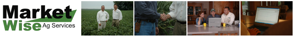 Market Wise Ag Services